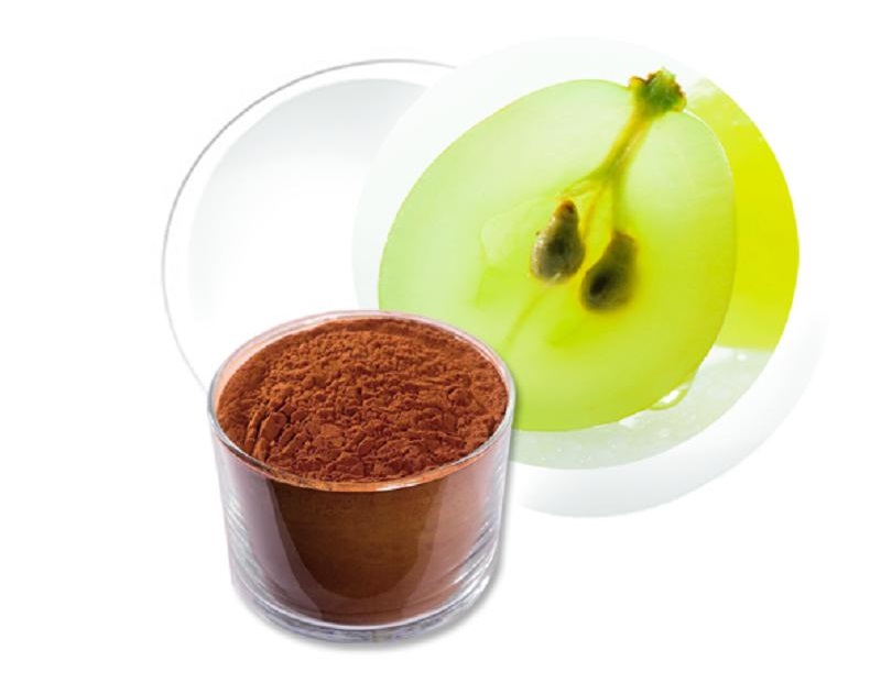 exGrape™ Grape extracts | Breko GmbH | Ingredients Network